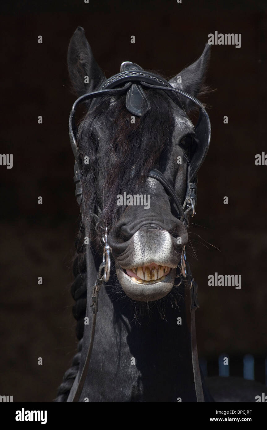 Eye Blinders High Resolution Stock Photography and Images - Alamy