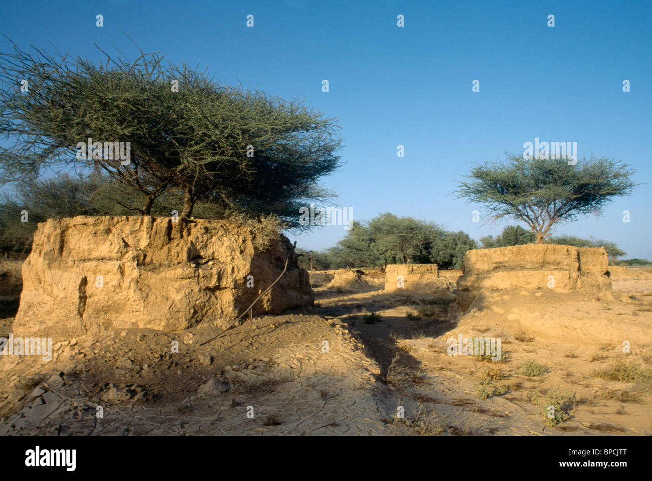 Sharjah UAE Wadi Soil Erosion Stock Photo - Alamy