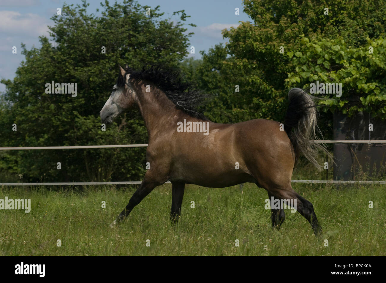 Cross running blood hi-res stock photography and images - Alamy