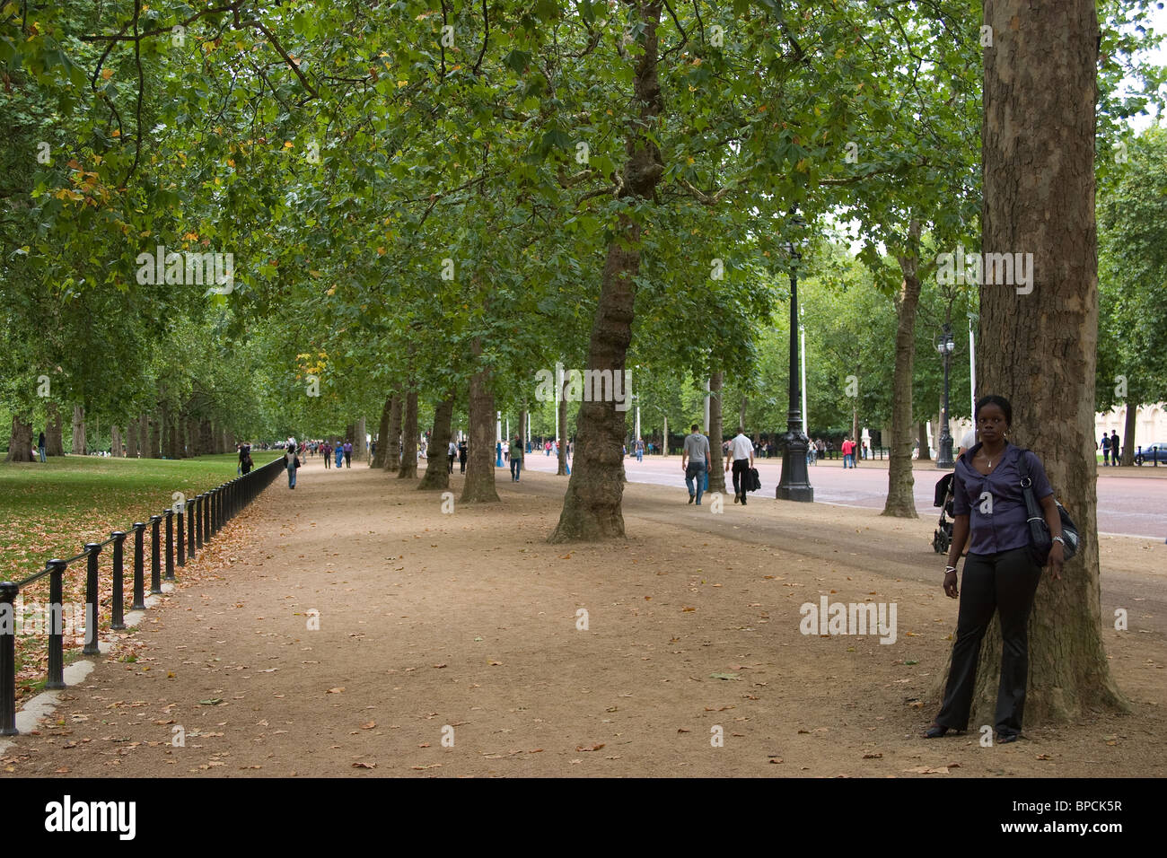 tourist black woman posing boulevard trees path Stock Photo - Alamy