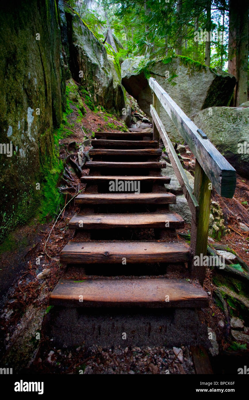 squamish, british columbia, canada; wooden steps through a forest Stock ...