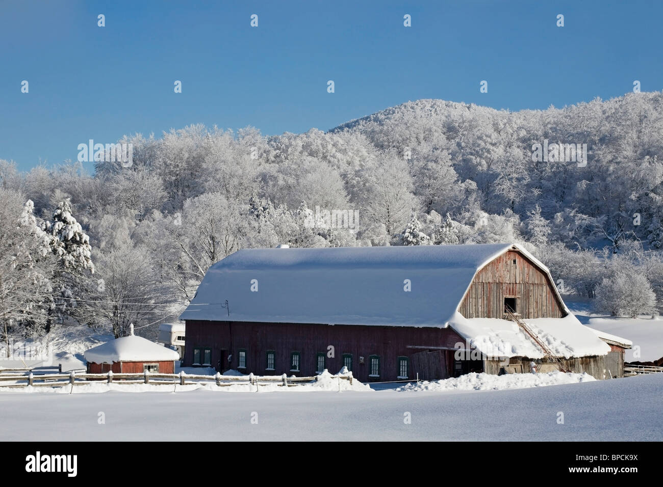 Barns quebec farms agriculture hi-res stock photography and images - Alamy