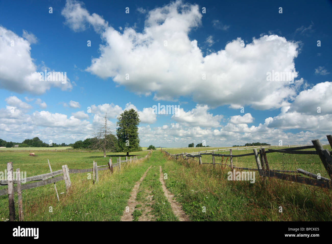 Way to home Stock Photo - Alamy