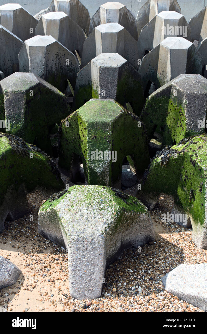 Concrete groynes defenses by the seafront in Clacton on Sea, Essex ...