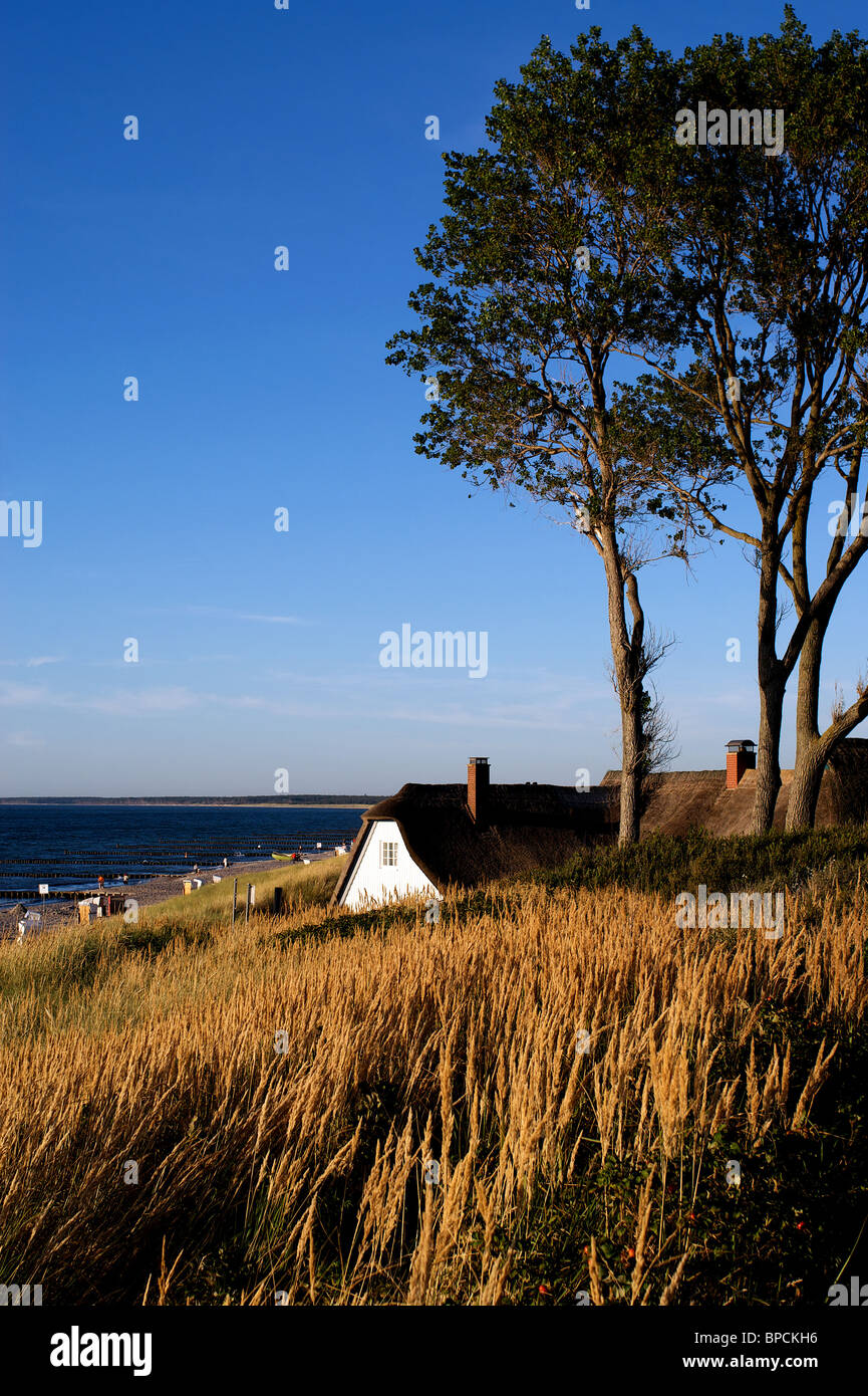 A house on the sea shore in the morning, Ahrenshoop, Germany Stock ...