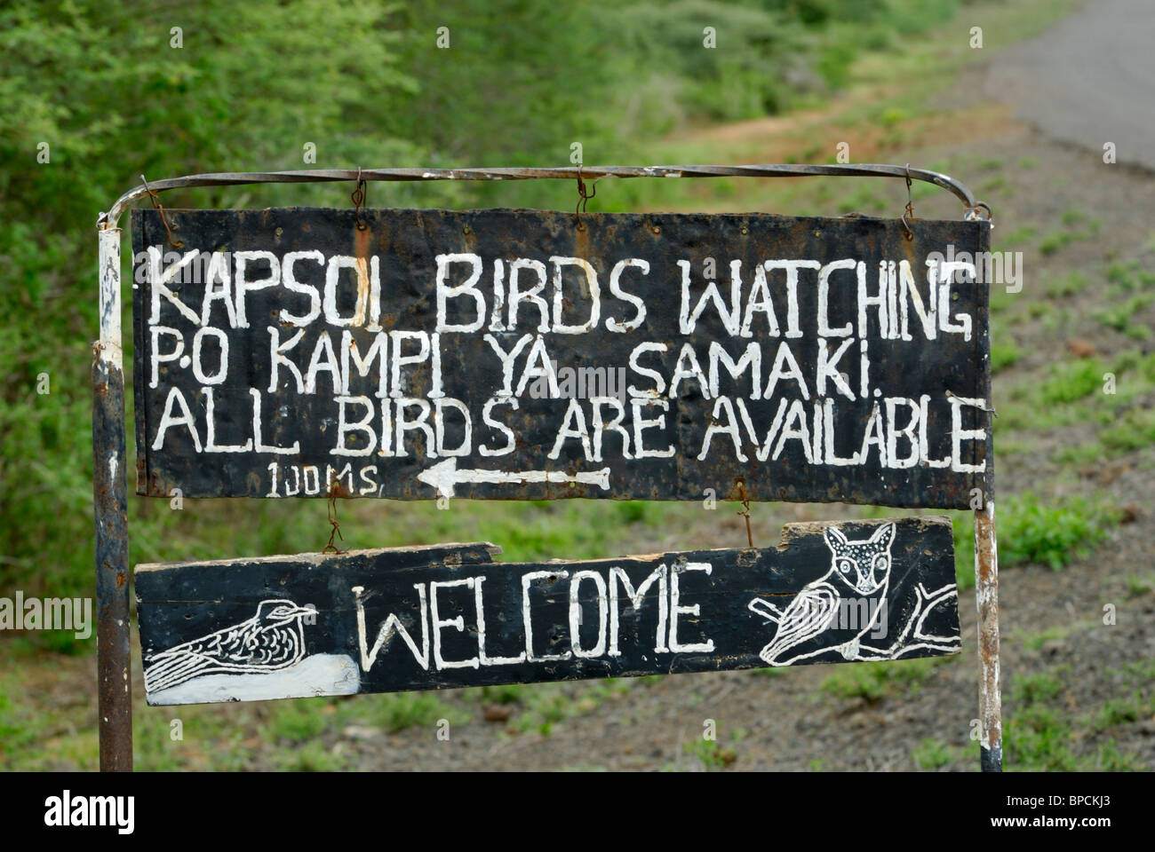 Birdwatching guide ad, Lake Baringo region, Rift Valley, Kenya Stock ...