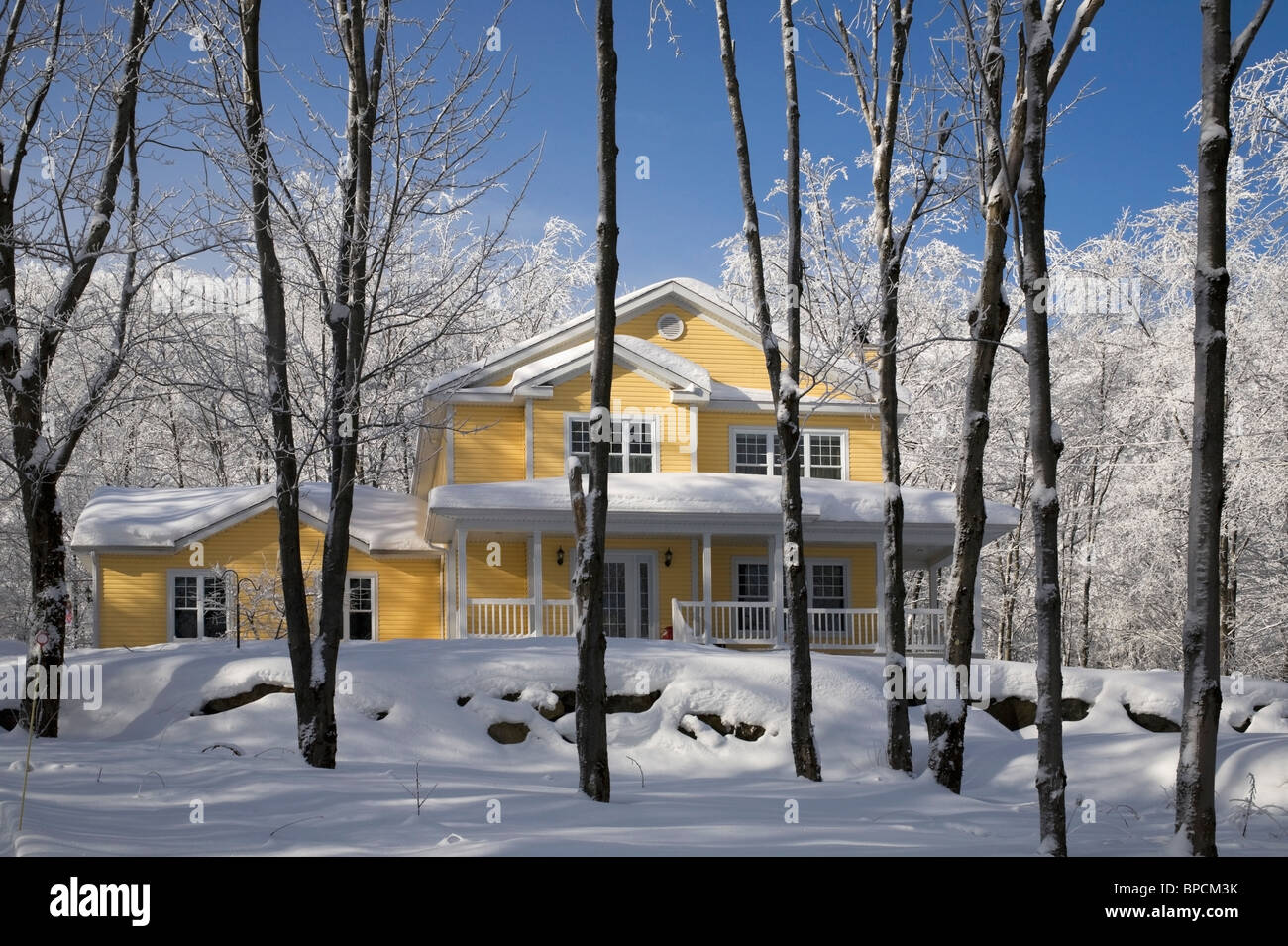 House of the big tree trees hi-res stock photography and images - Alamy