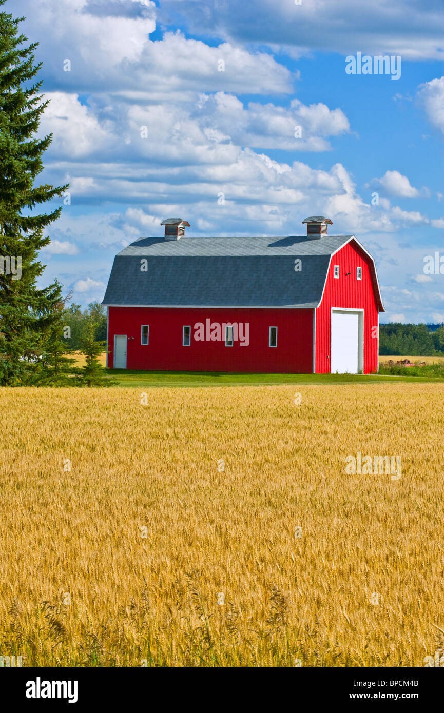 Barn building structure hi-res stock photography and images - Alamy