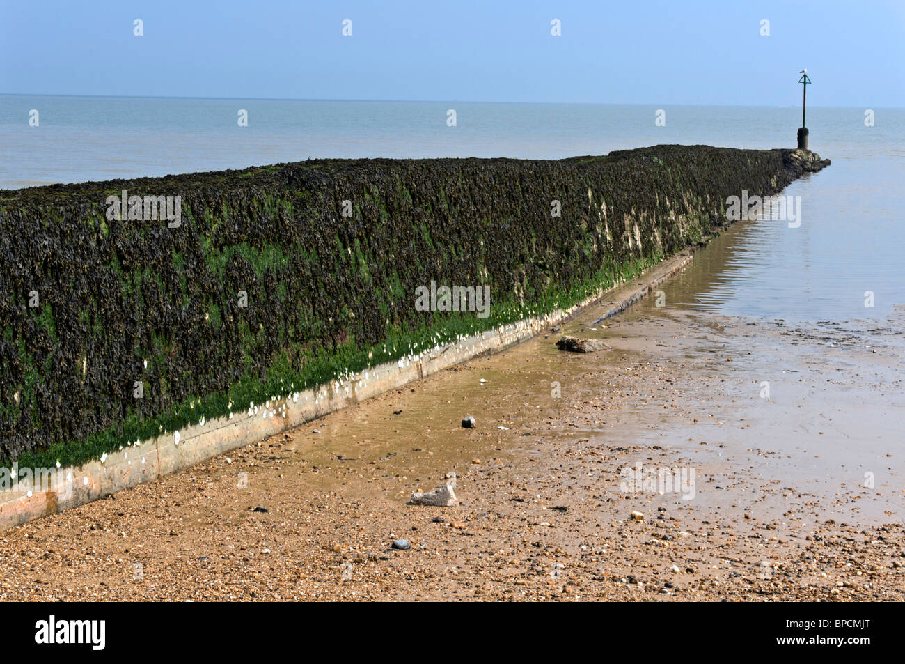 Sea wall, Clacton on Sea, United Kingdom Stock Photo - Alamy