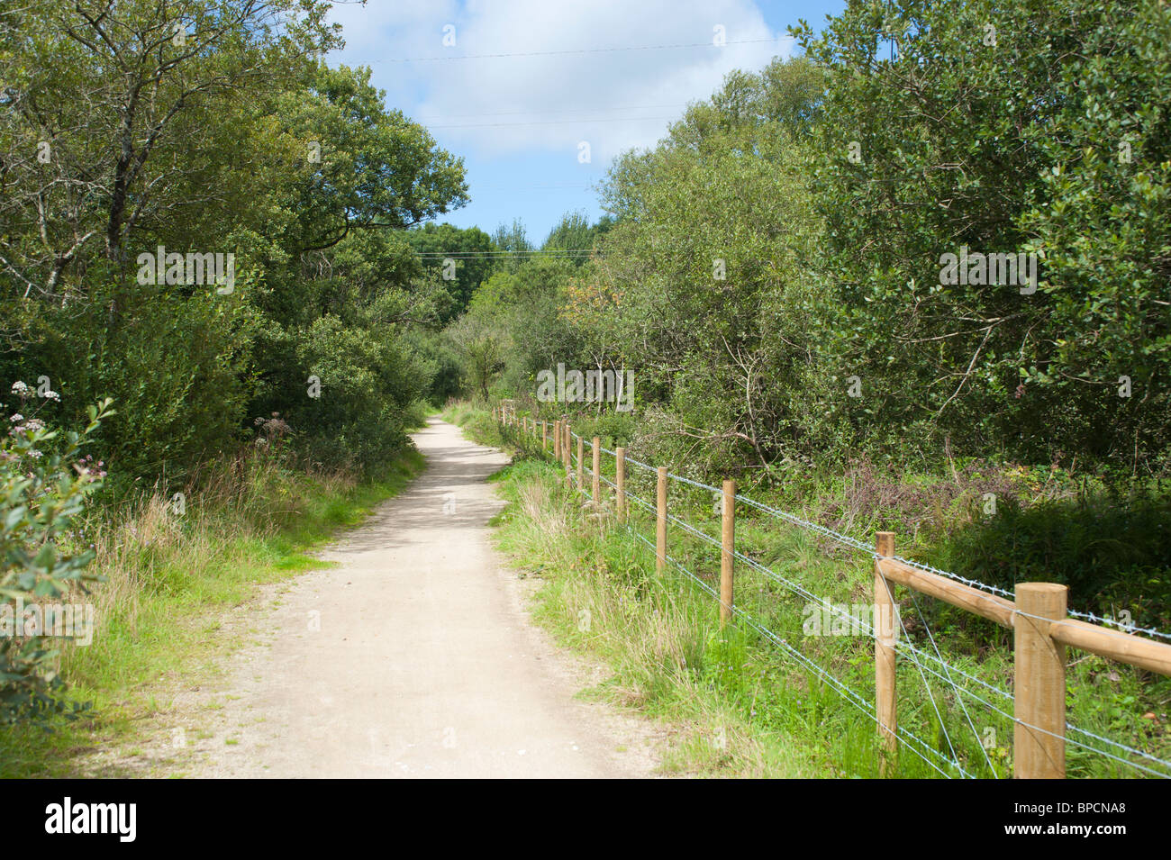 Goss hi-res stock photography and images - Alamy