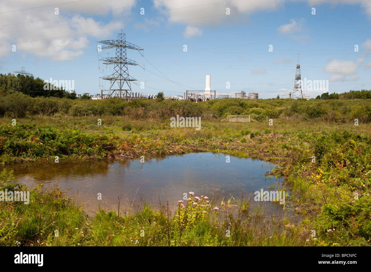 Goss moor hi-res stock photography and images - Alamy
