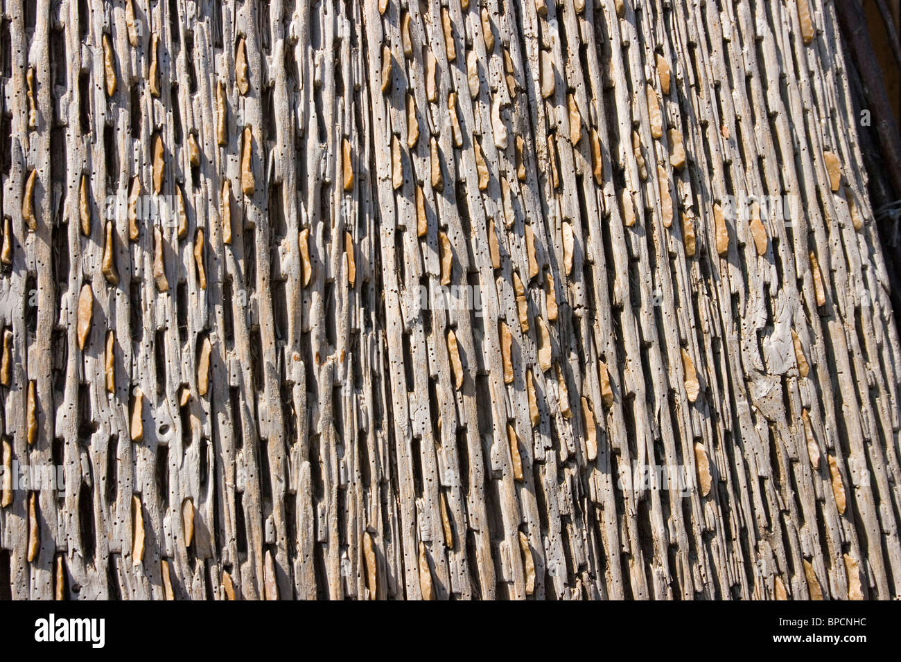 Traditional farm tools, closeup of threshing board with flint splinters ...