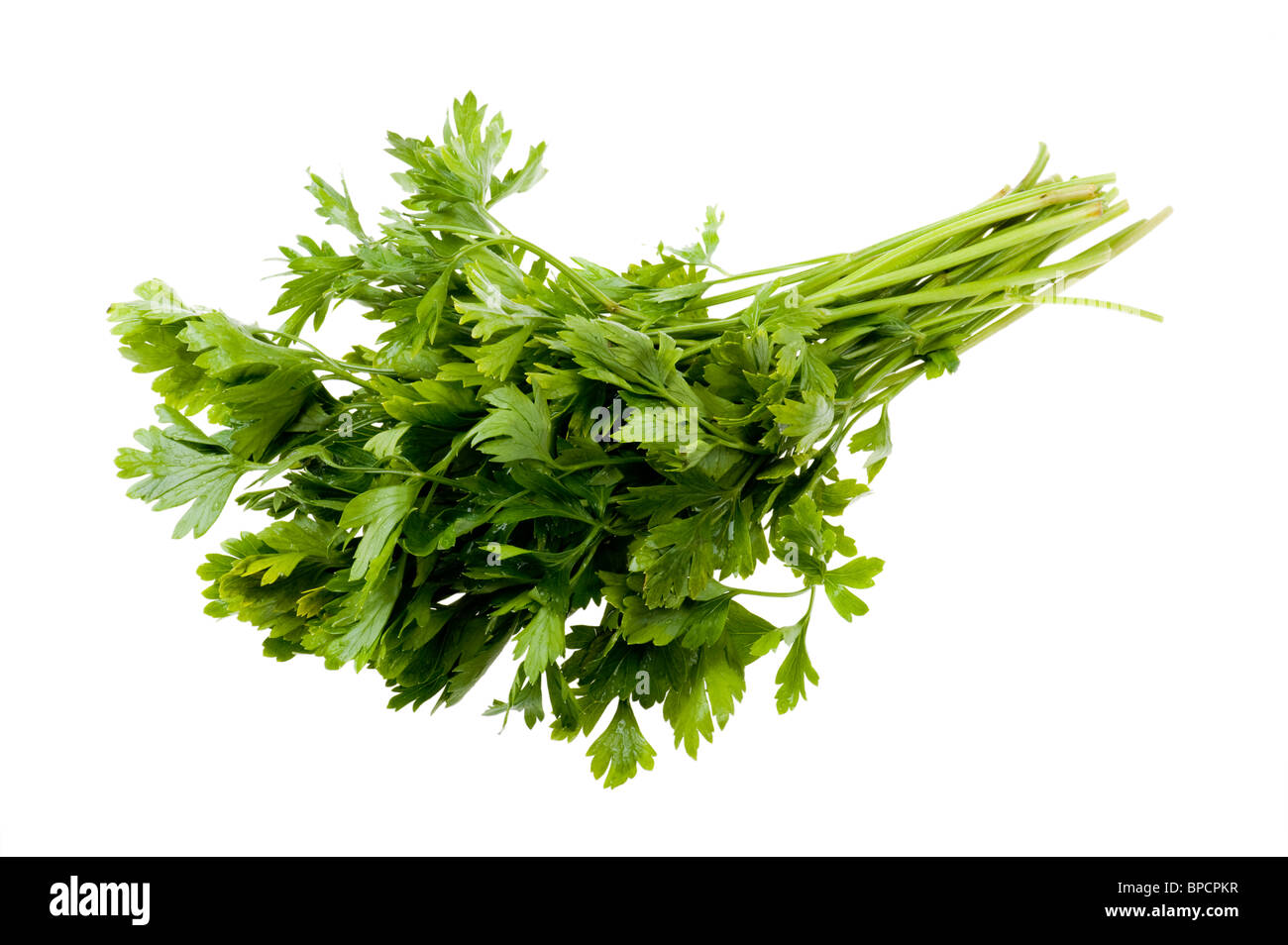 object on white - food parsley close up Stock Photo - Alamy