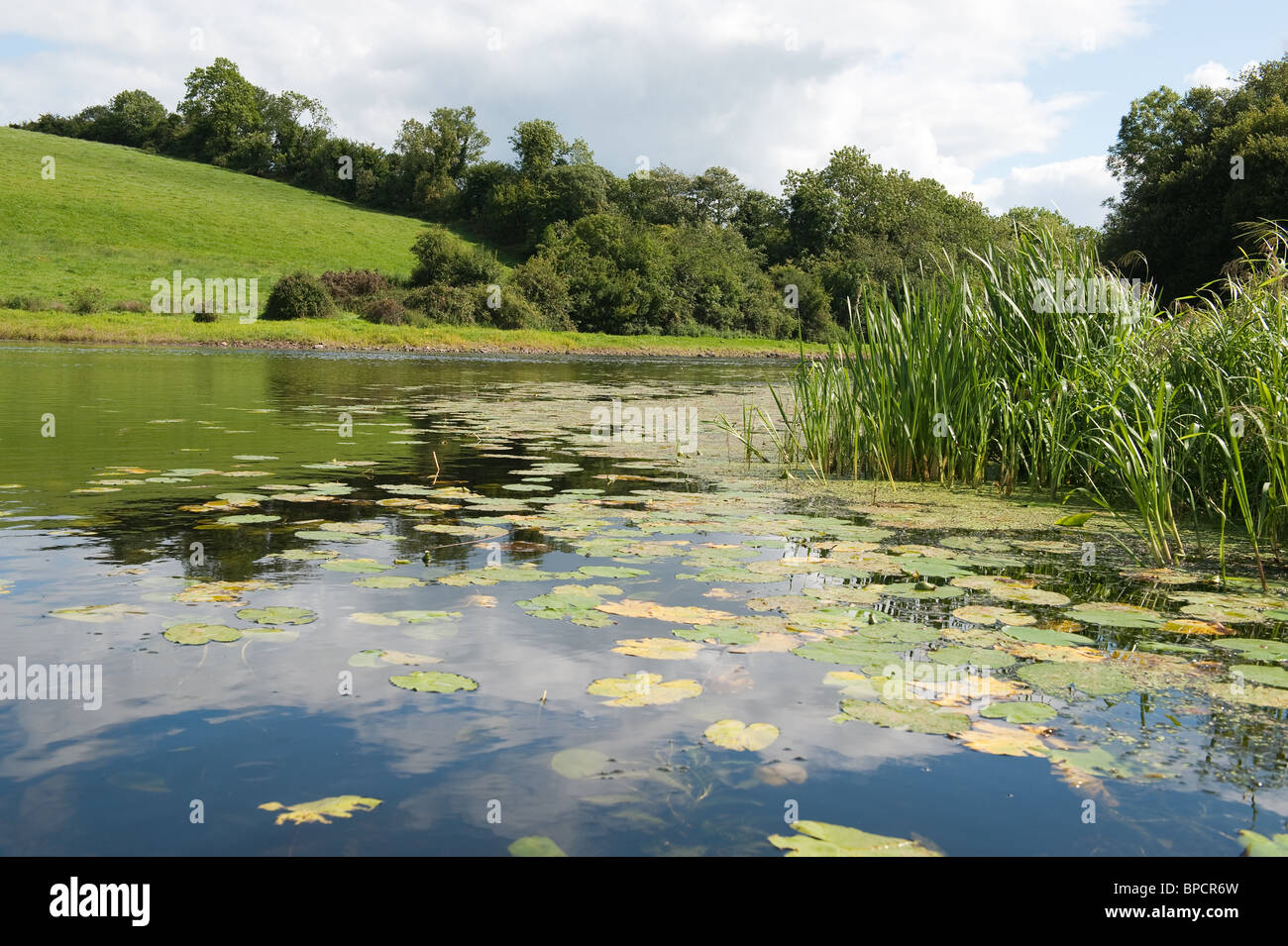 Cavan river hi-res stock photography and images - Alamy
