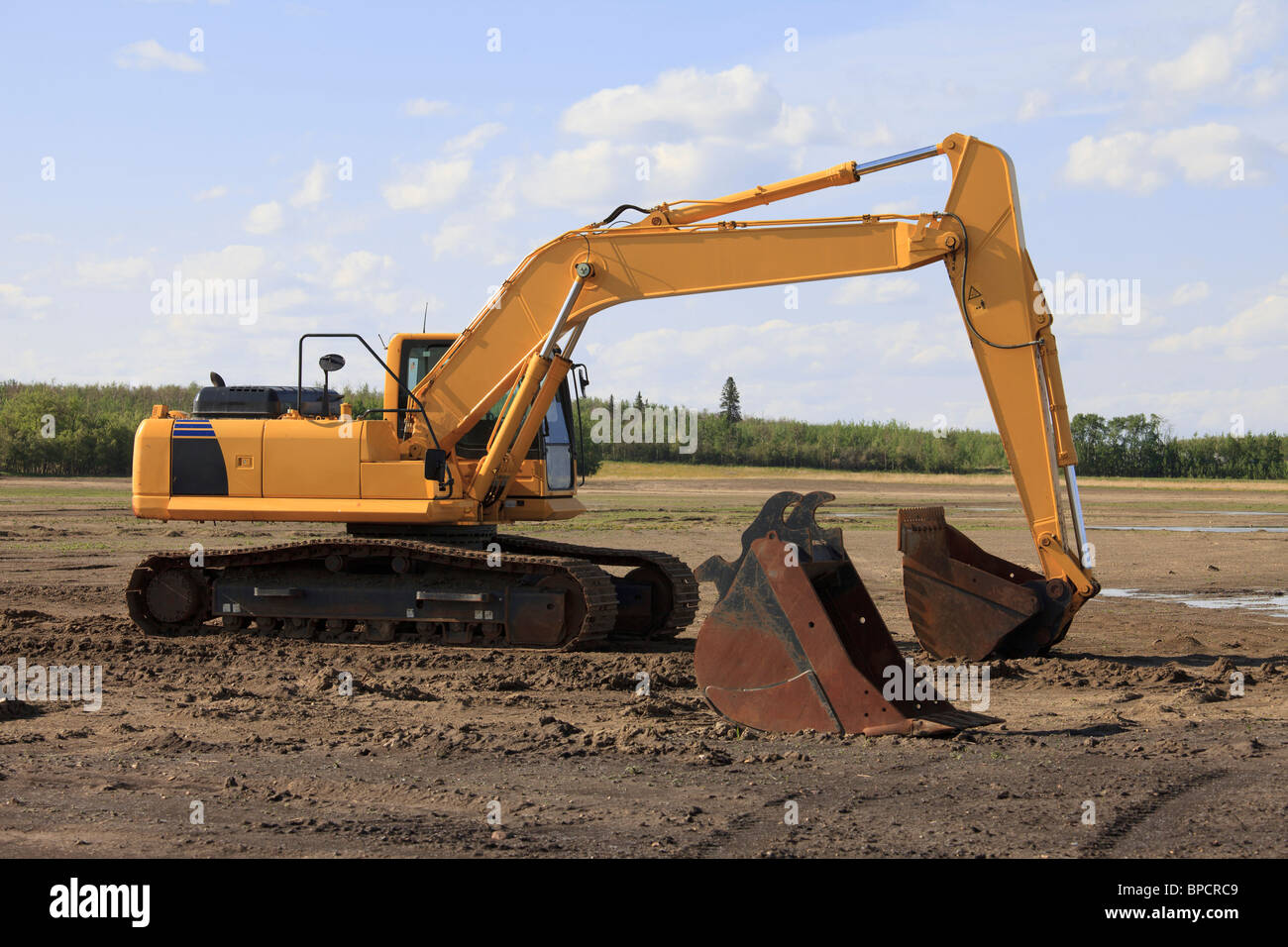 Back hoe trees hi-res stock photography and images - Alamy