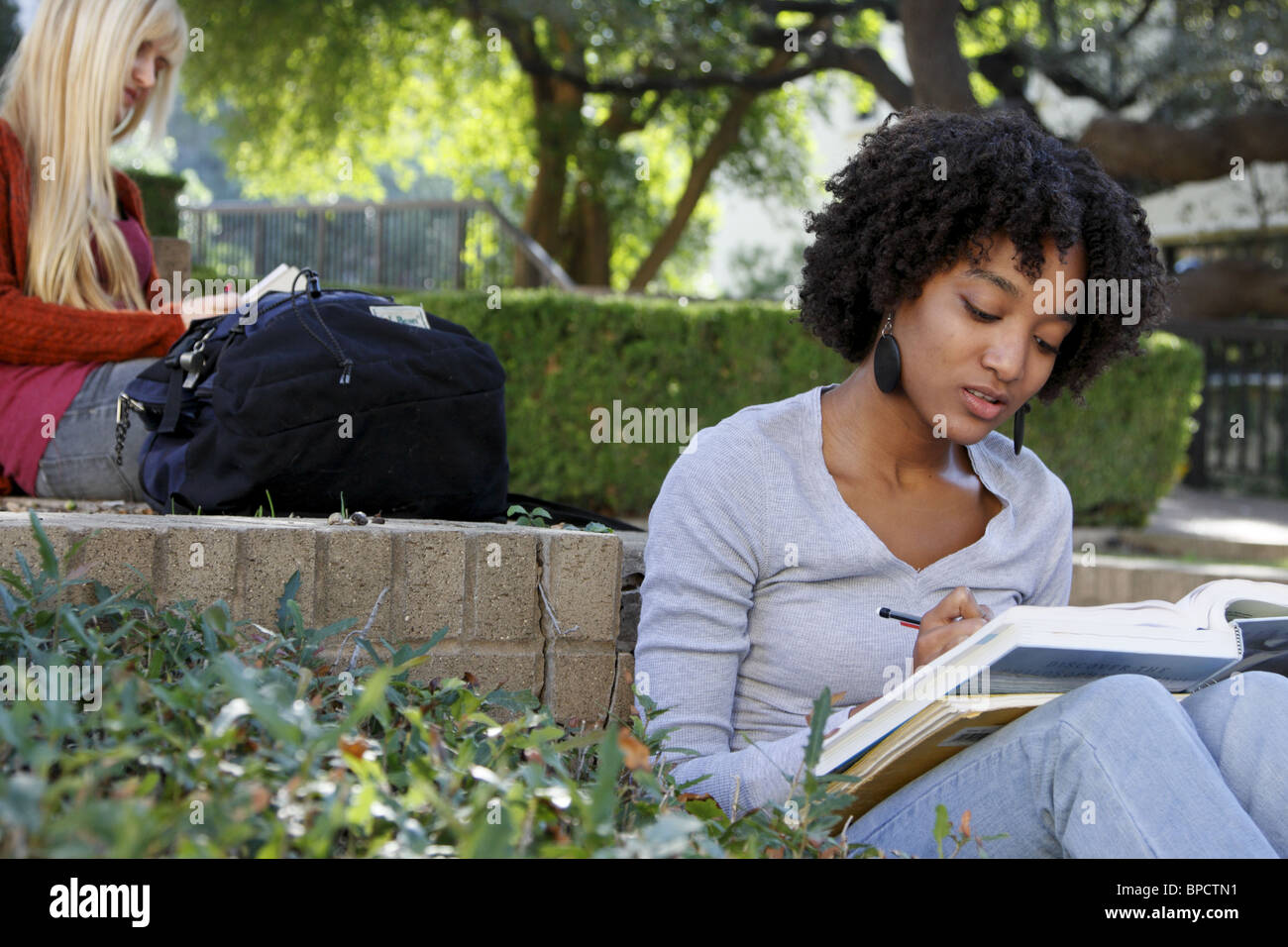 College students studying on campus Stock Photo - Alamy