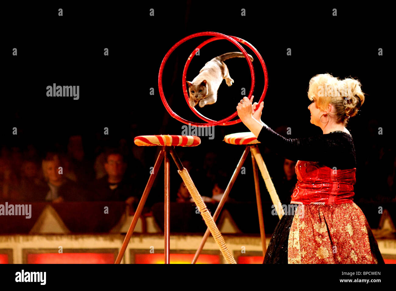 Circus rings hi-res stock photography and images - Alamy