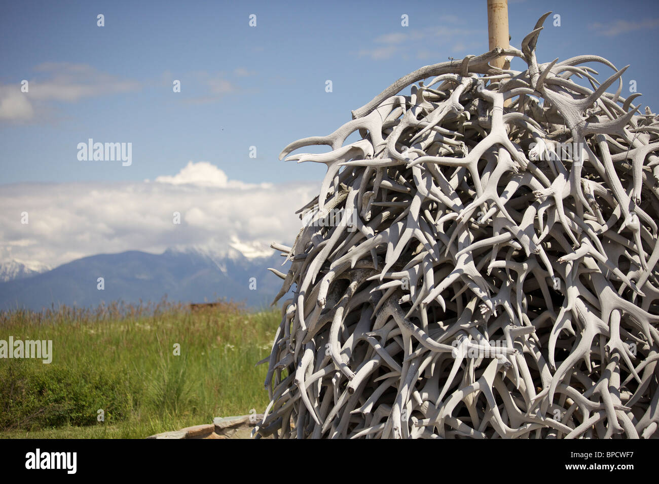Heap of antlers hi-res stock photography and images - Alamy