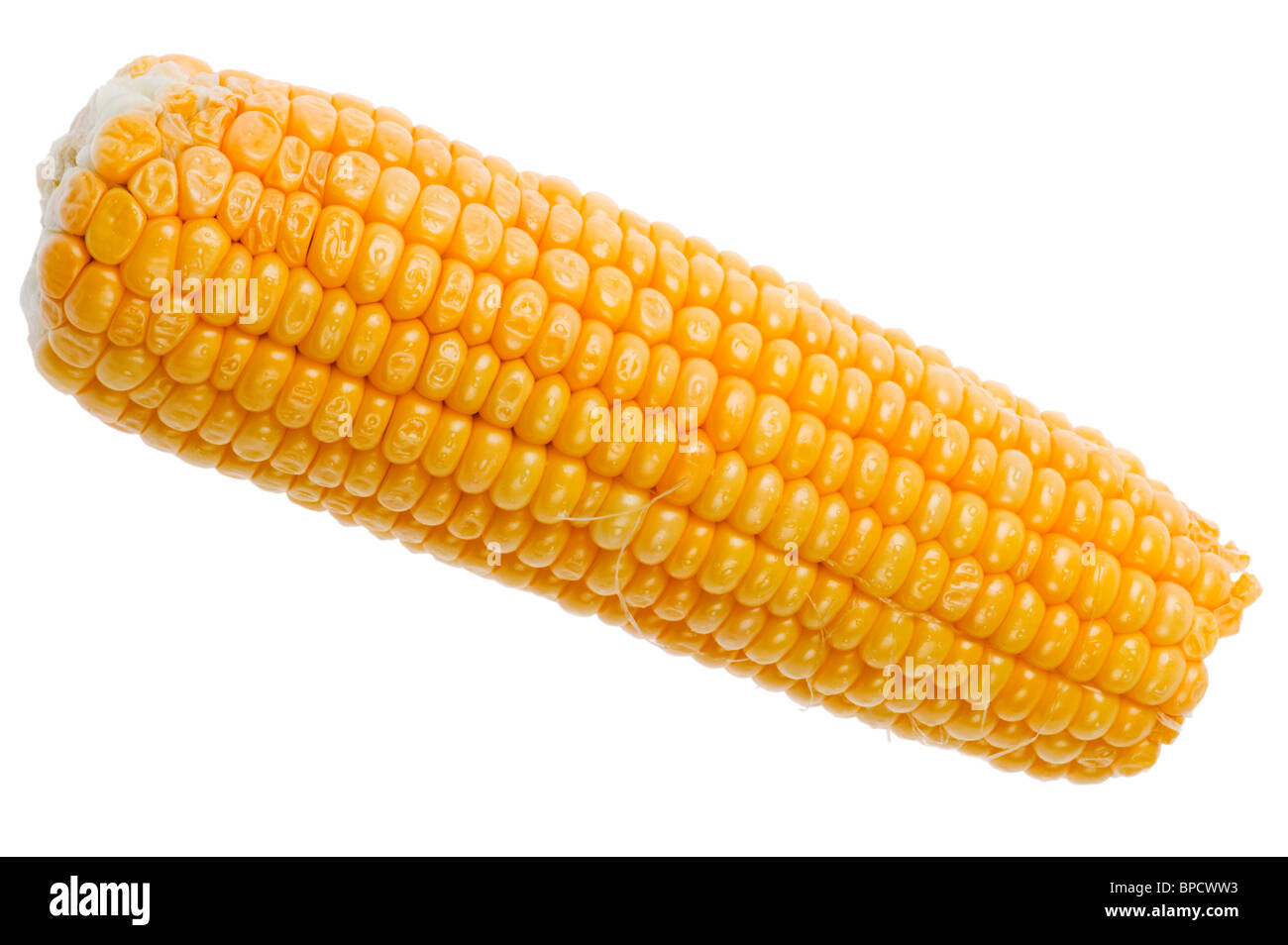 object on white - food corn close up Stock Photo - Alamy