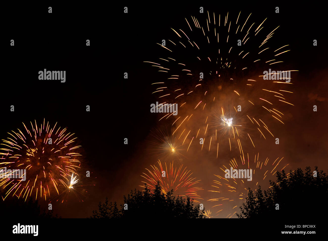 Fireworks bursting over trees and against the night sky. Space for text ...