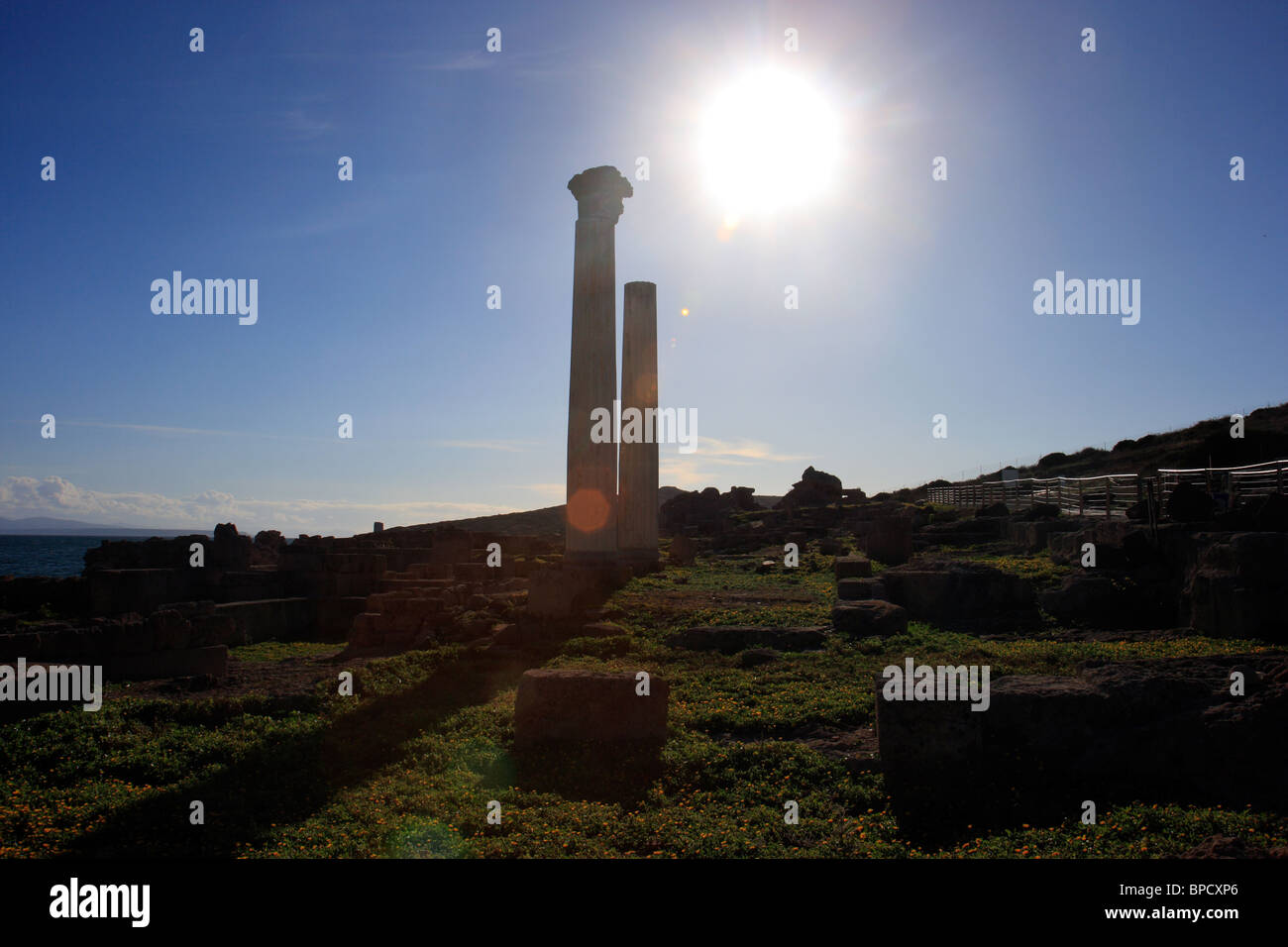 Ionic columns hi-res stock photography and images - Alamy