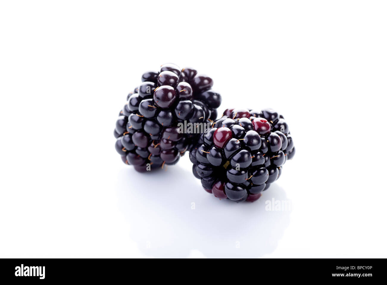 Blackberries isolated on white background Stock Photo - Alamy