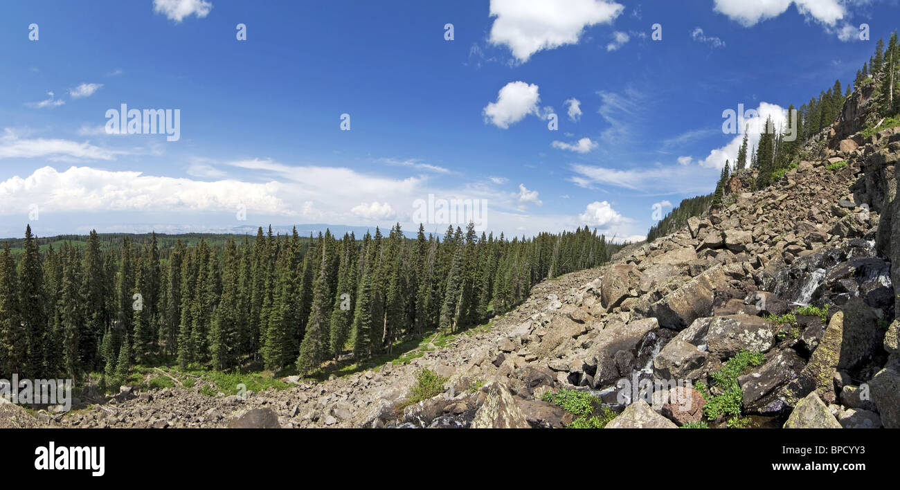 Panoramic View Grand Mesa National Forest in Colorado. The Worlds ...