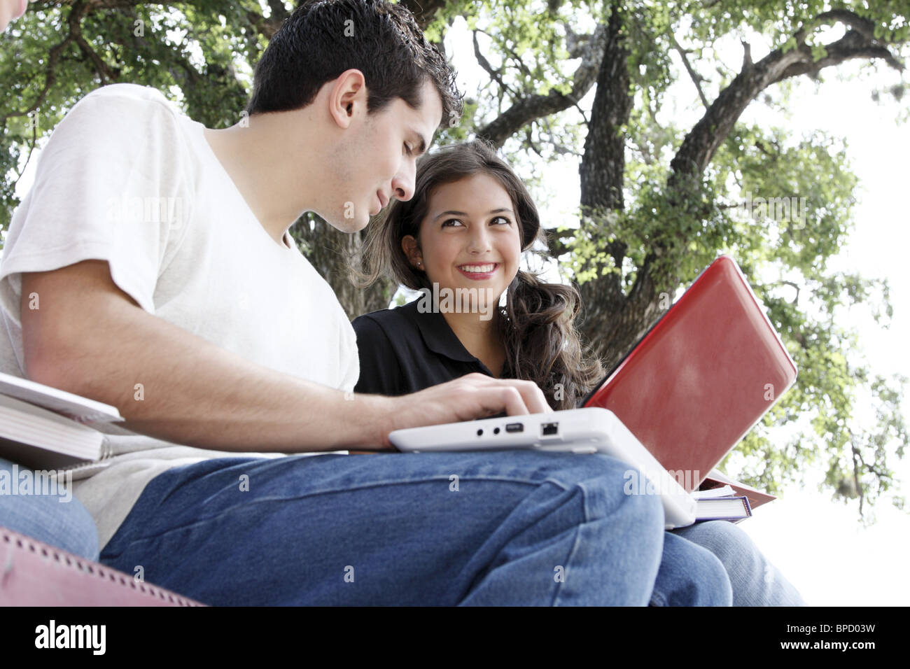 Students using a computer to study Stock Photo - Alamy