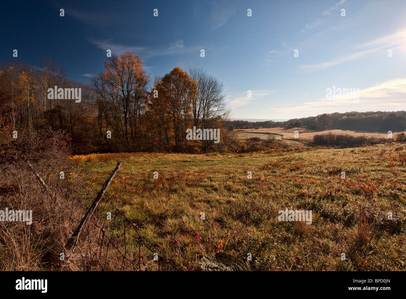 New England Fall Foliage on Route 169 near Brooklyn, CT Stock Photo - Alamy