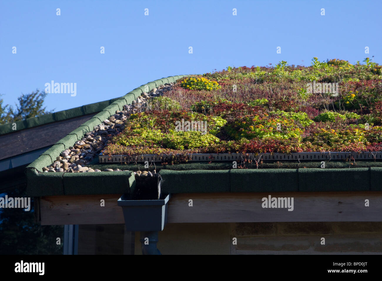 green planted roof derbyshire peak district national park england Stock ...