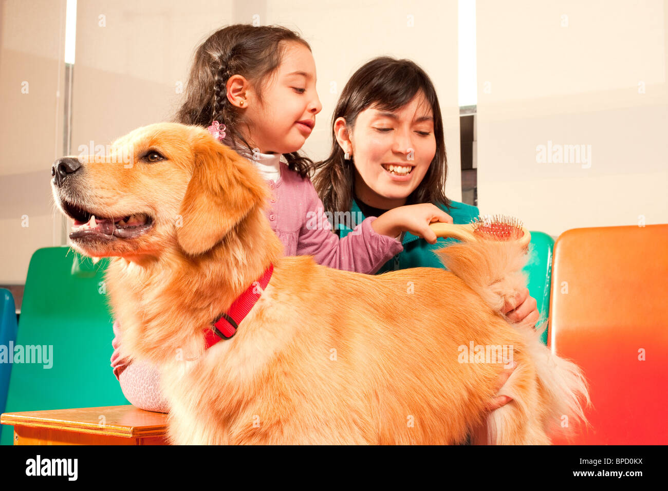 Animal being treated hi-res stock photography and images - Alamy