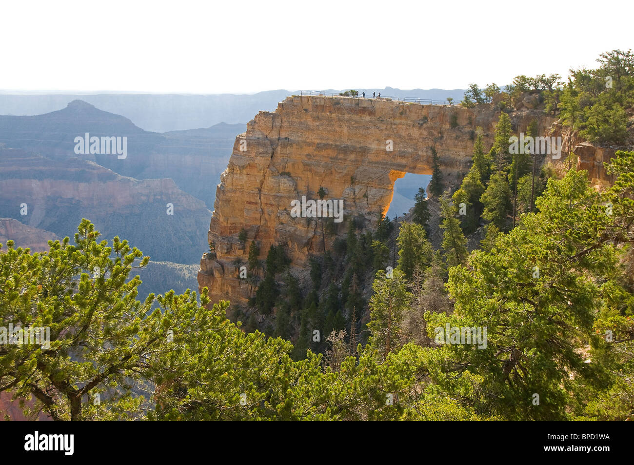 Angels window North Rim Grand Canyon National Park Arizona Stock Photo ...
