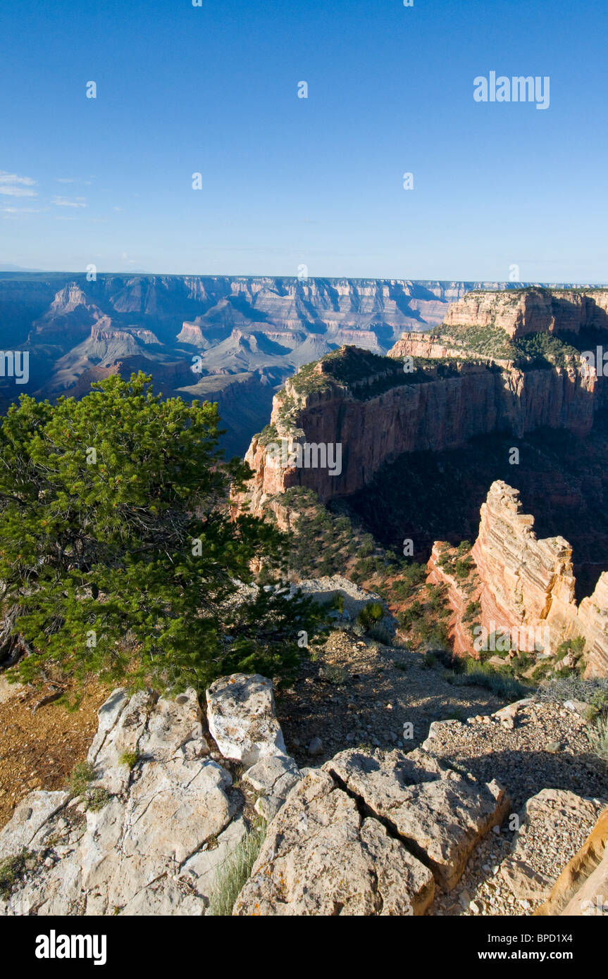 North rim Grand Canyon National Park Cape Royal overlook Stock Photo ...