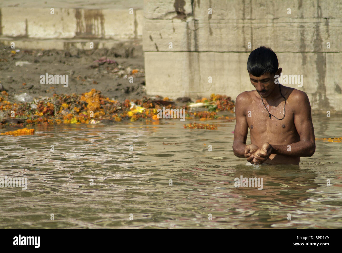 Man praying in the Ganges River in Varanasi, India Stock Photo - Alamy