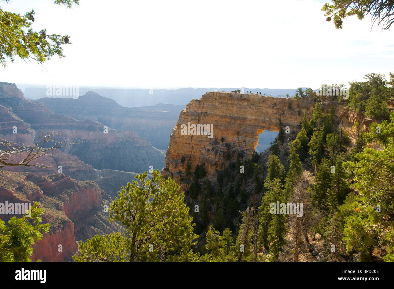 Angels window North Rim Grand Canyon National Park Arizona Stock Photo ...
