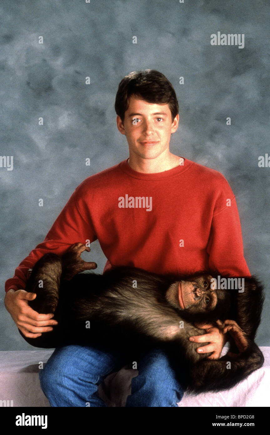 Matthew Broderick High Resolution Stock Photography and Images - Alamy
