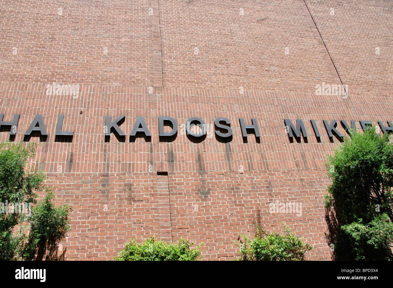 Kahal hi-res stock photography and images - Alamy