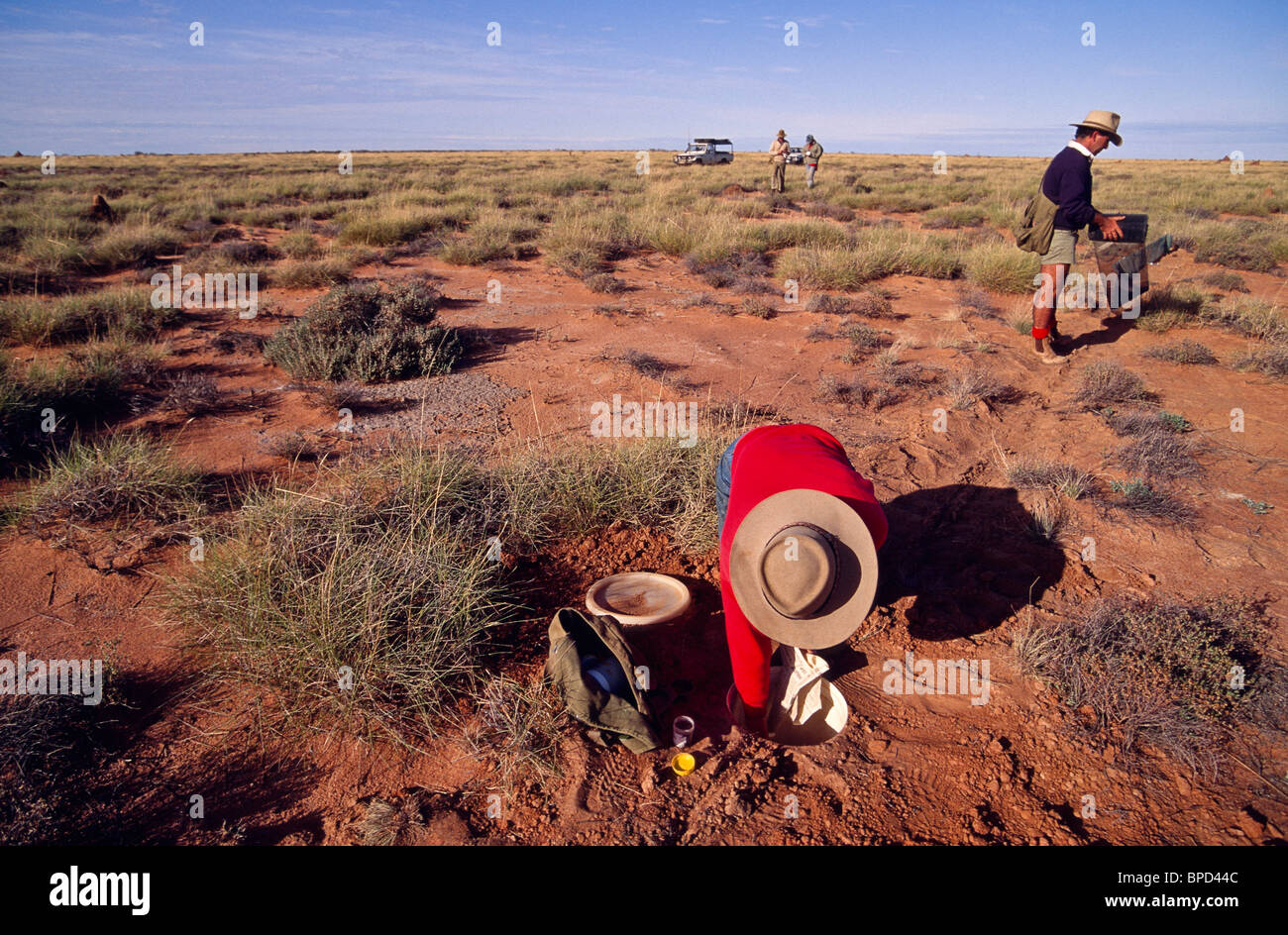 Field workers recording native fauna, Australia Stock Photo - Alamy
