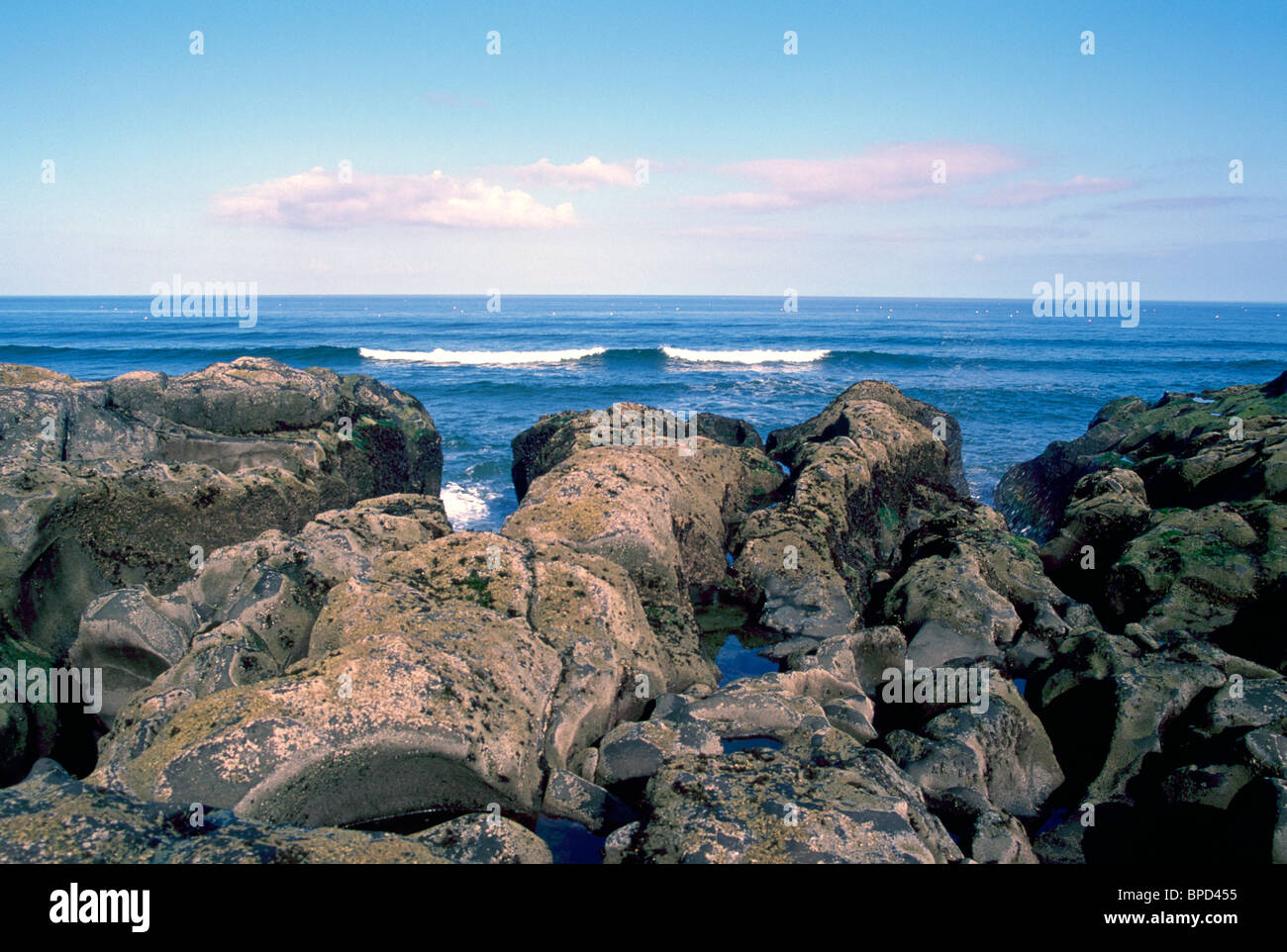 Haida Gwaii (Queen Charlotte Islands) Northern BC, British Columbia ...