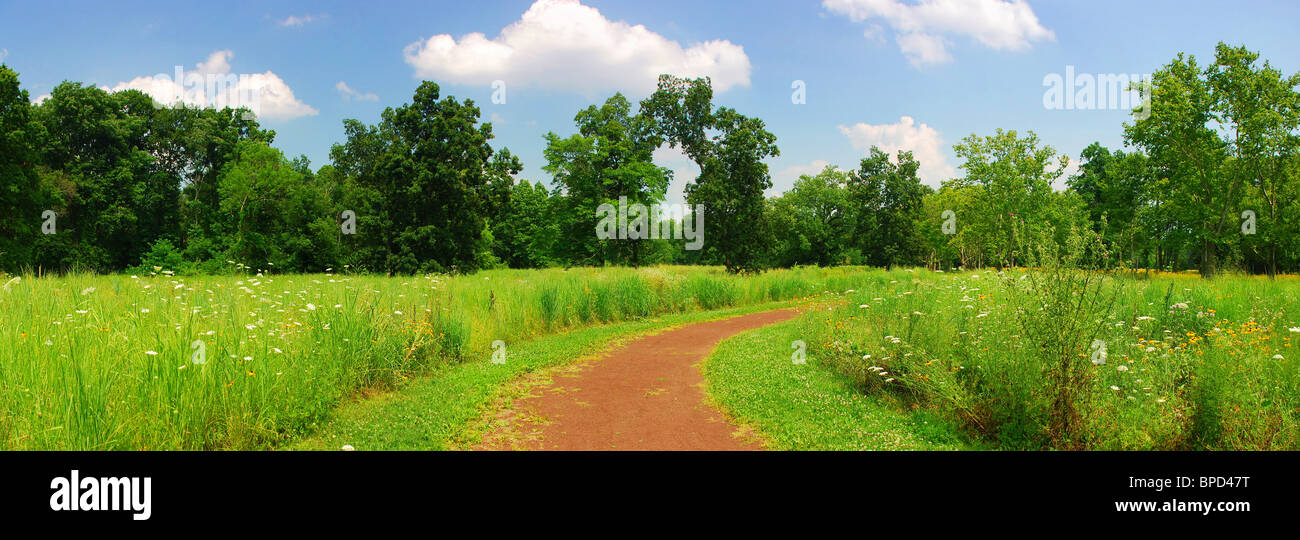 Quiet rural trail with trees, grass and blue cloudy sky Stock Photo - Alamy