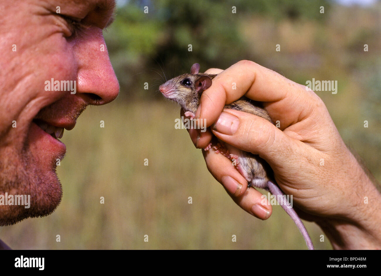 Australian outback worker hi-res stock photography and images - Alamy