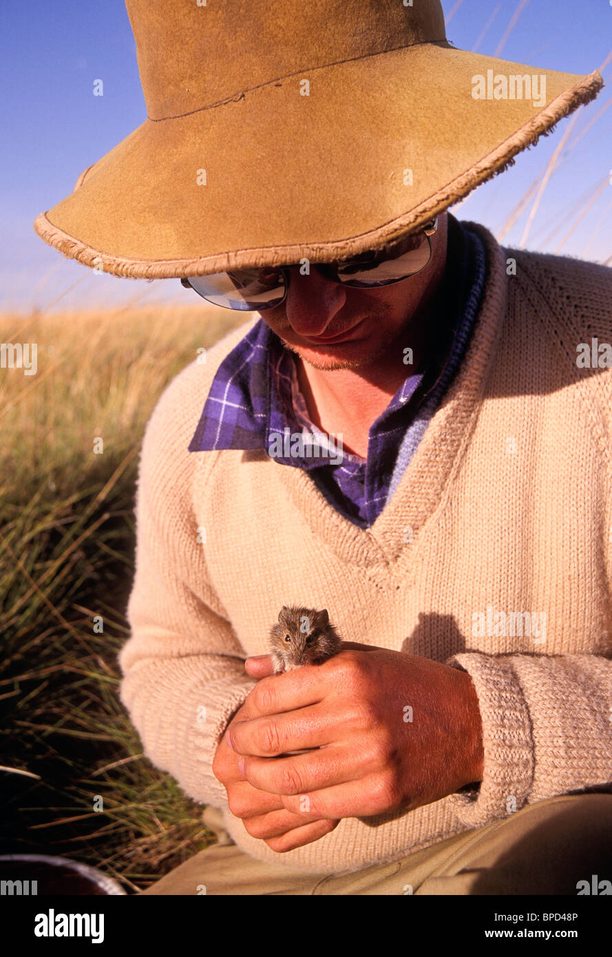 Field worker recording native fauna, Australia Stock Photo - Alamy