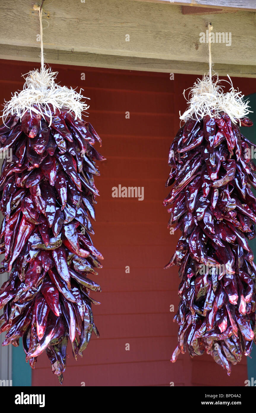 Chili peppers drying in sun Stock Photo - Alamy