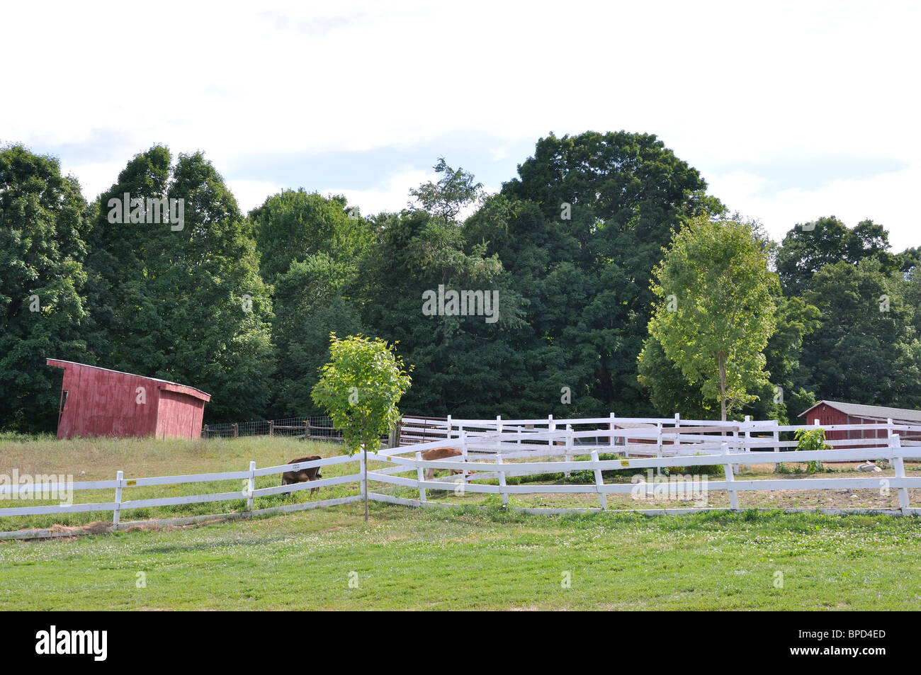 New England countryside, Connecticut, USA Stock Photo - Alamy