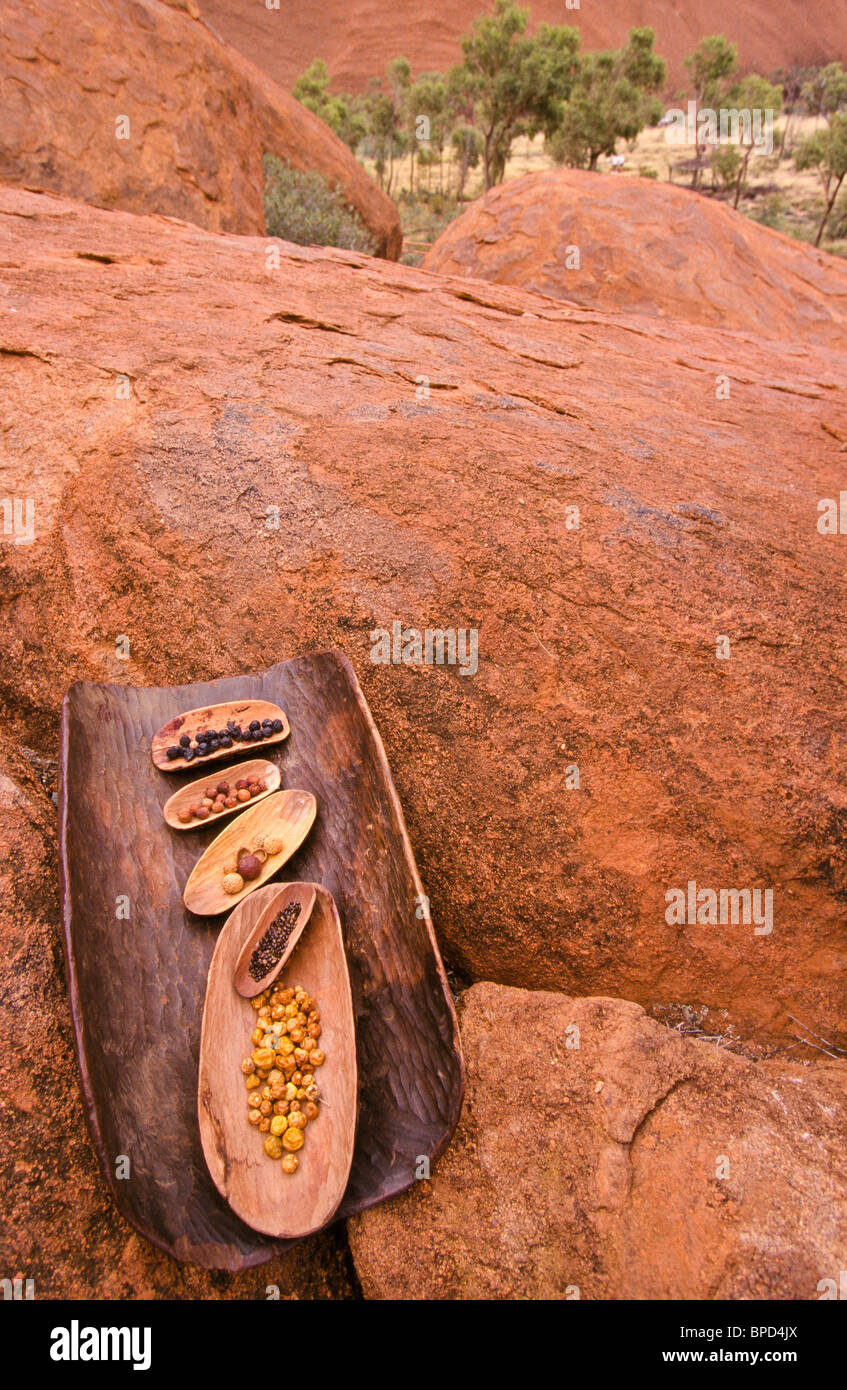 Aboriginal bush tucker, outback Australia Stock Photo - Alamy