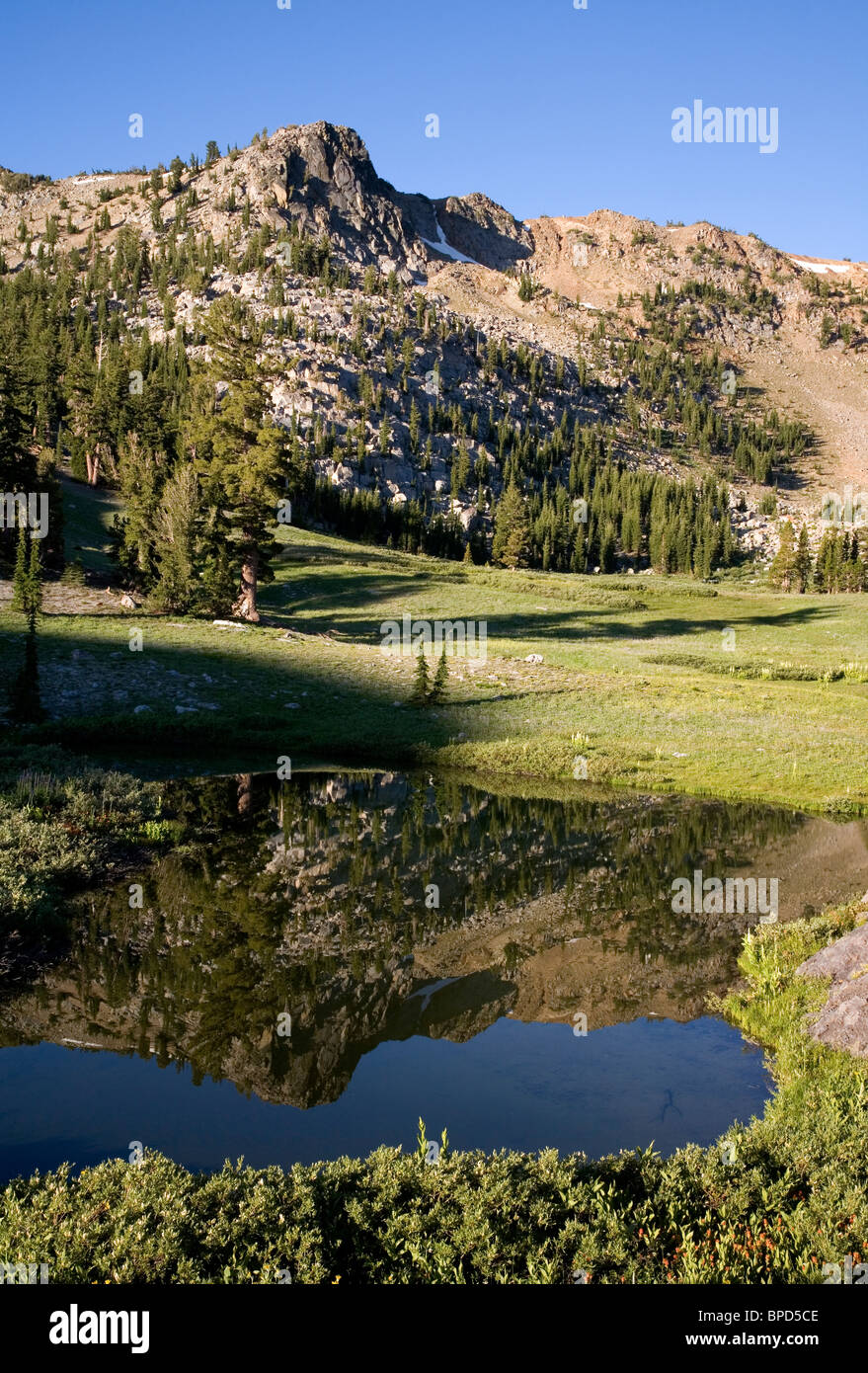 Carson pass hi-res stock photography and images - Alamy