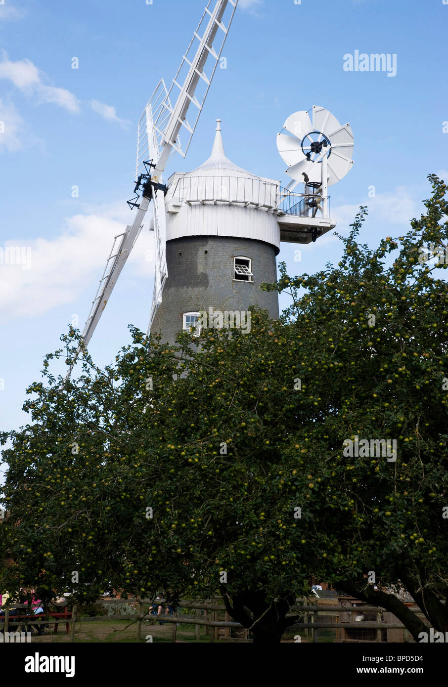 Bircham Windmill, Norfolk Stock Photo - Alamy