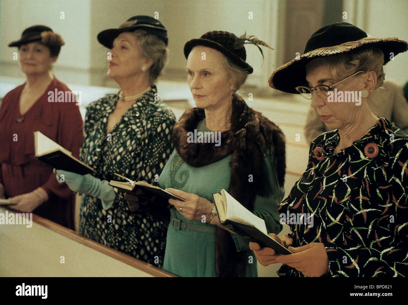 Miss Daisy High Resolution Stock Photography and Images - Alamy