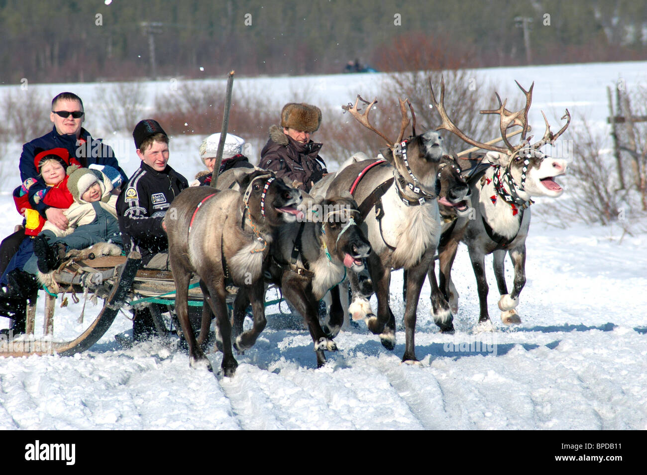 Sleigh Rides High Resolution Stock Photography and Images - Alamy