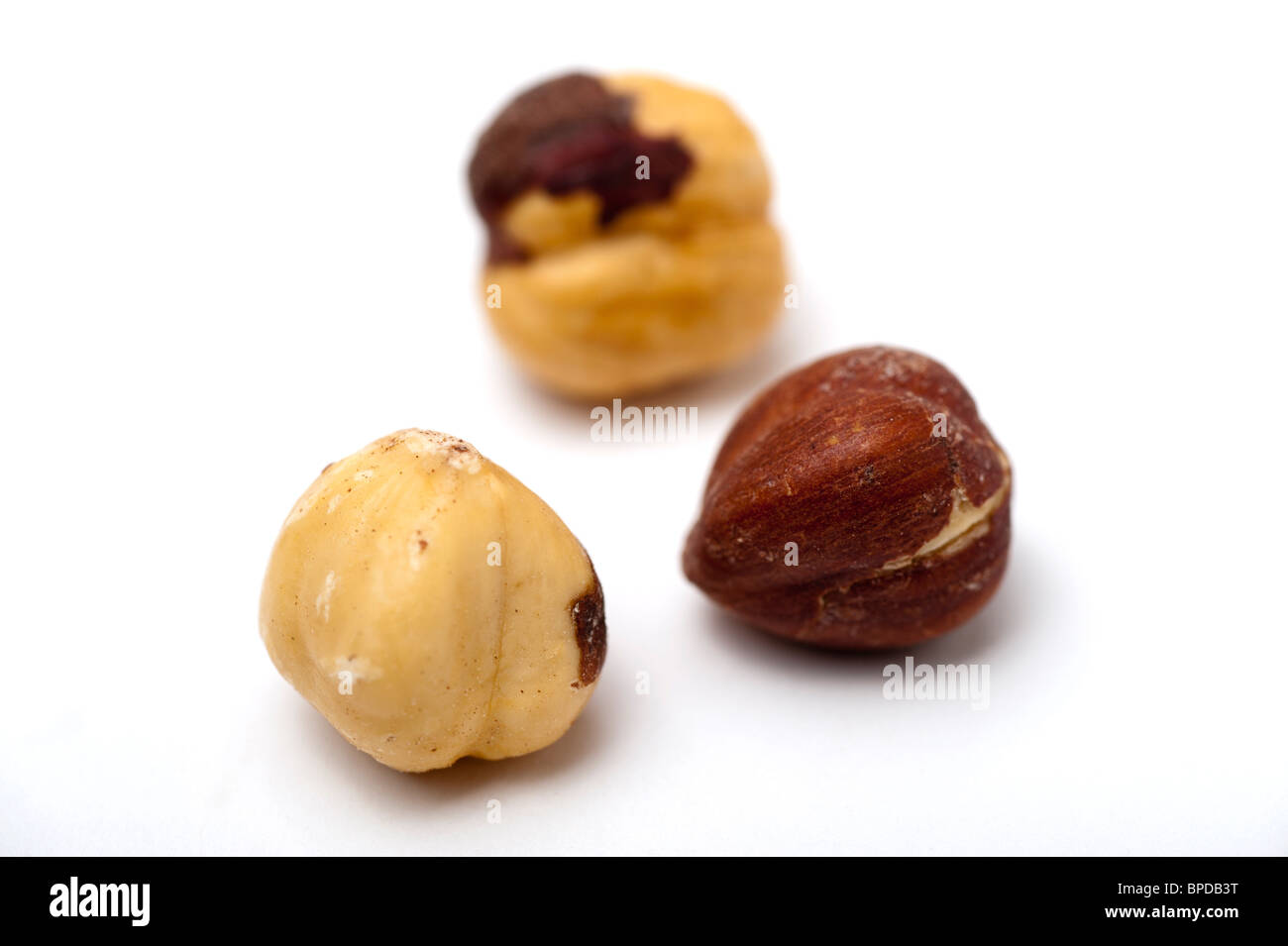 Shelled Hazel Nuts (Corylus avellana) On white Background Stock Photo ...